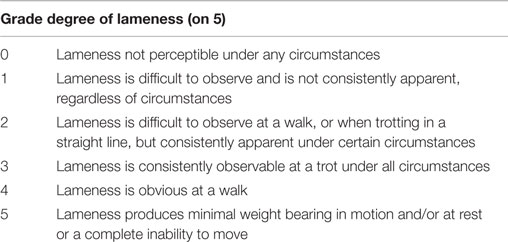 VET 2018 LAS Group E Lab 4 Equine Lameness - How does one investigate lameness in a horse